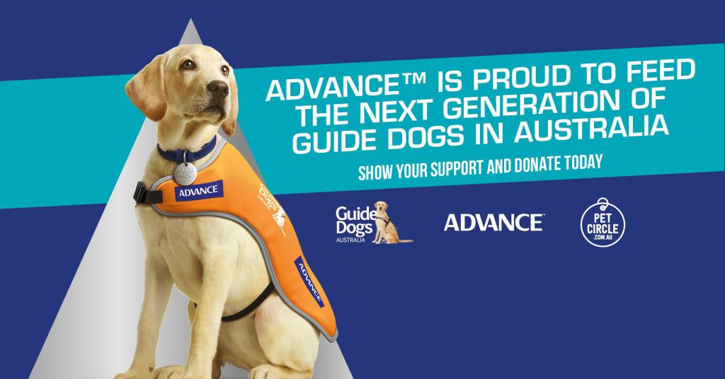 Events Archive - Guide Dogs NSW/ACT