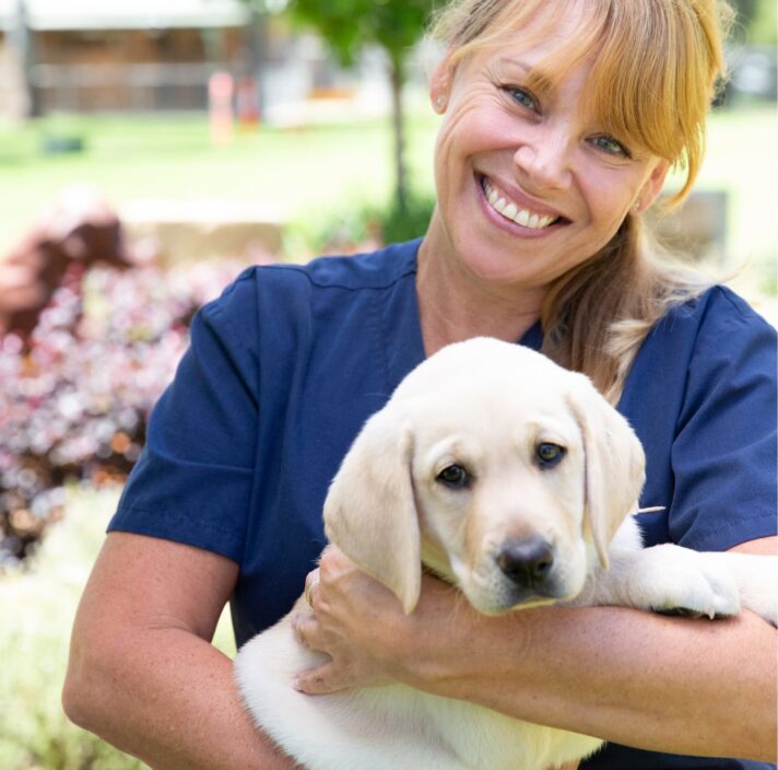 Guide Dog training - Guide Dogs NSW/ACT