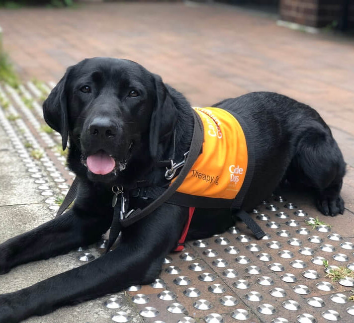 Annual Report 2021 - Guide Dogs NSW/ACT