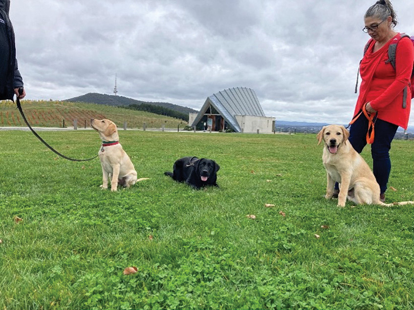 Guide Dog Tales Winter 2022 - Guide Dogs NSW/ACT