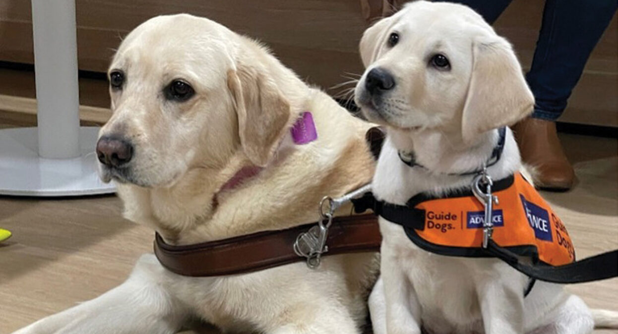 Guide Dog Tales Winter 2022 - Guide Dogs NSW/ACT