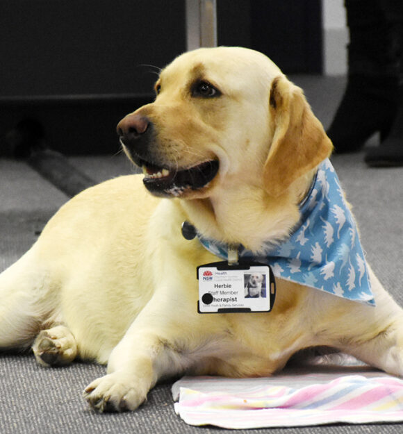 Guide Dog Tales Spring 2022 - Guide Dogs NSW/ACT
